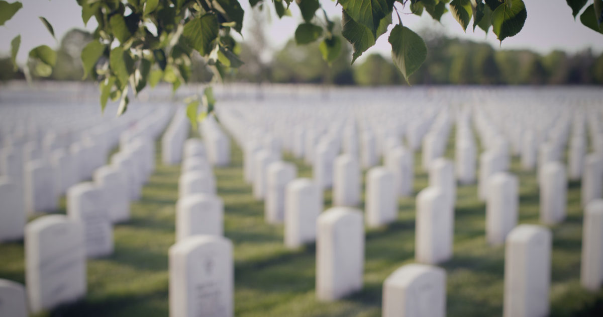 Military Cemetery Leaves Wind | Still Background