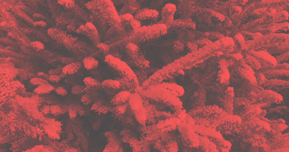 Modern Winter Trees 01 | Still Background