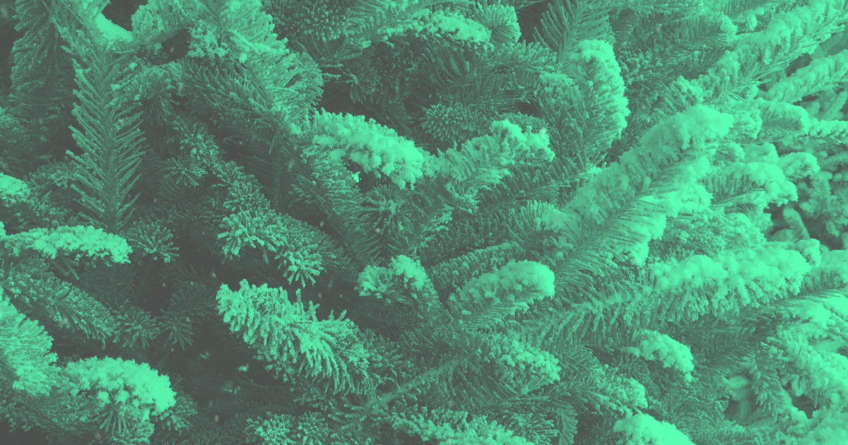 Modern Winter Trees 02 | Still Background