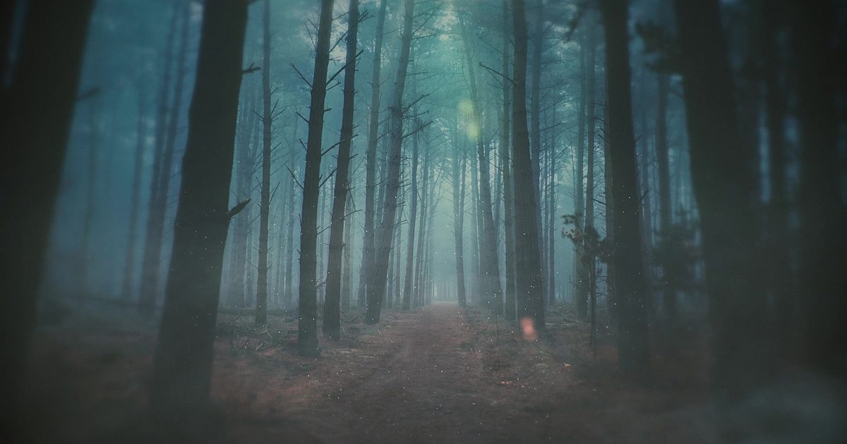 Moody Autumn Path Still | Still Background