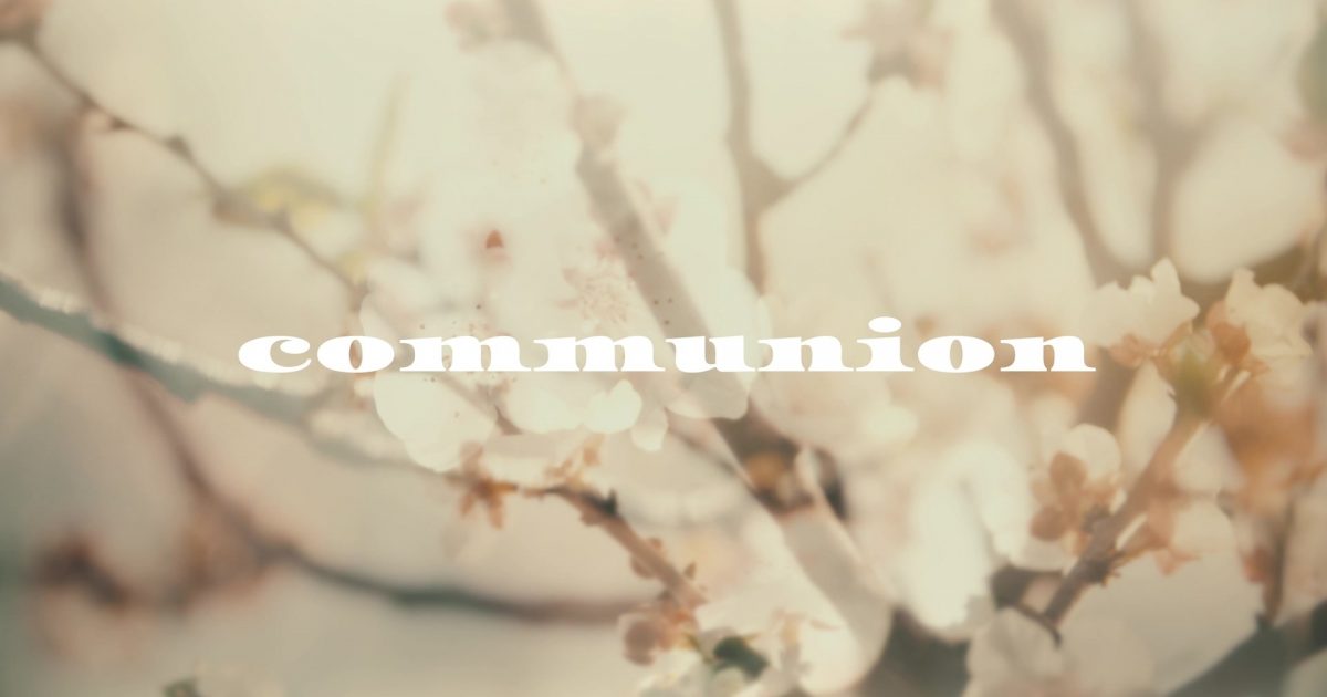 Muted Spring Communion Still | Still Background