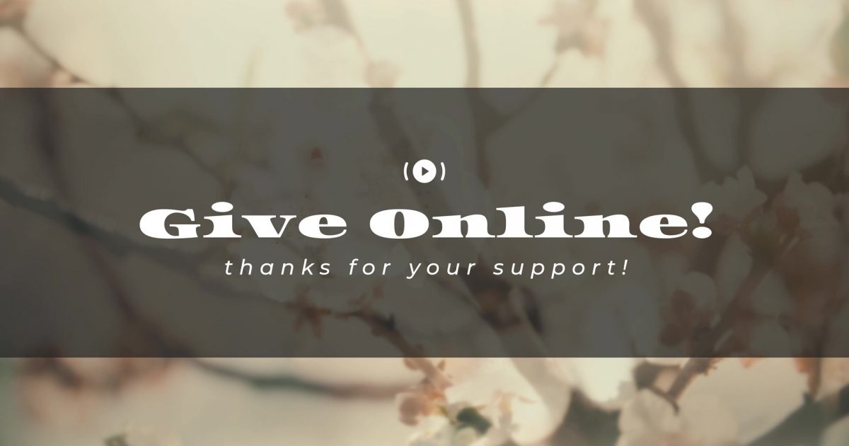 Muted Spring Give Stream Still | Still Background