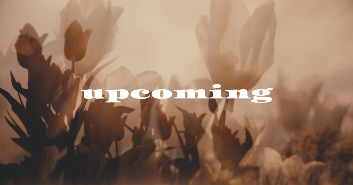 Muted Spring Upcoming Still | Still Background