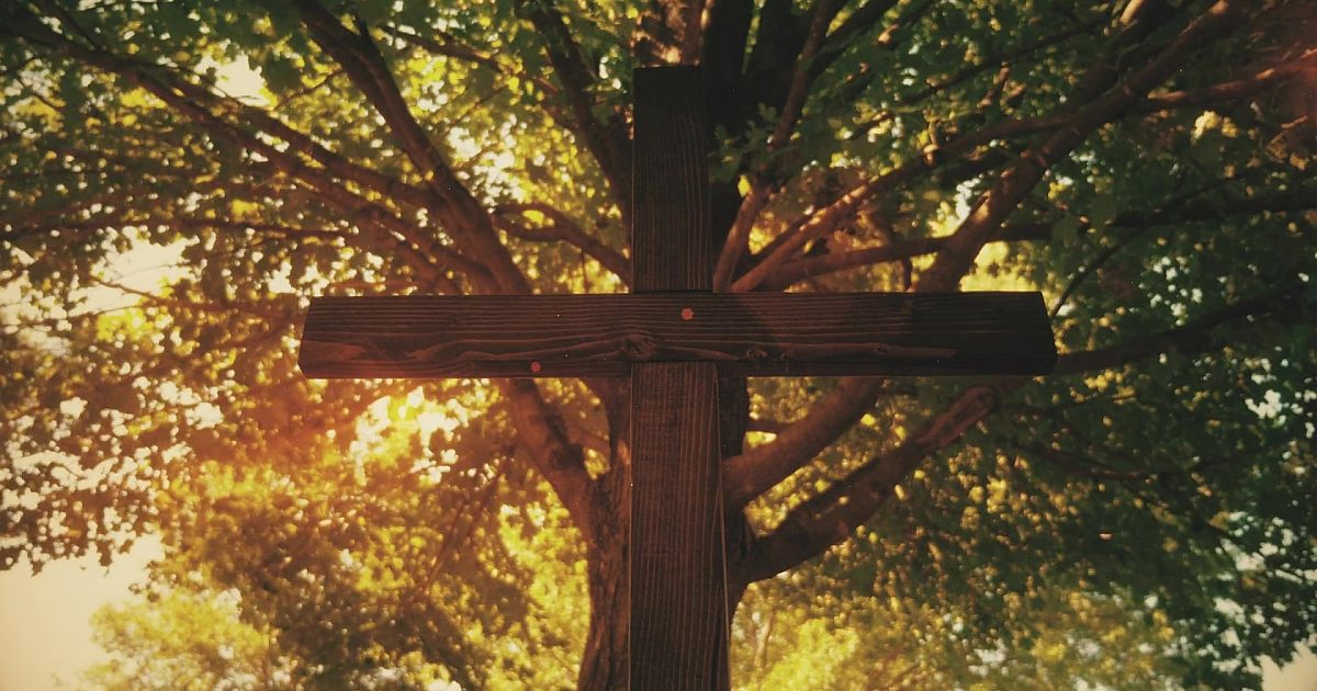 Nature Cross 10 Still | Still Background