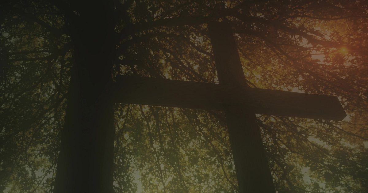 Nature Cross 12 Alt Still | Still Background