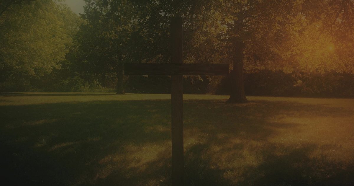 Nature Cross 6 Alt Still | Still Background