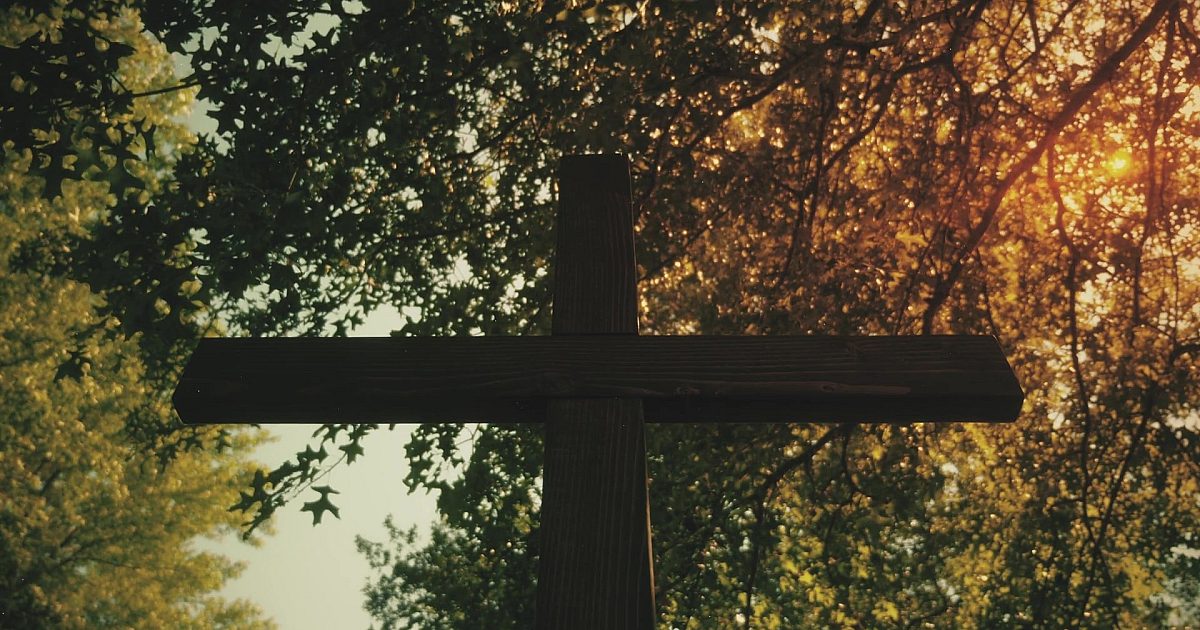 Nature Cross 8 Still | Still Background