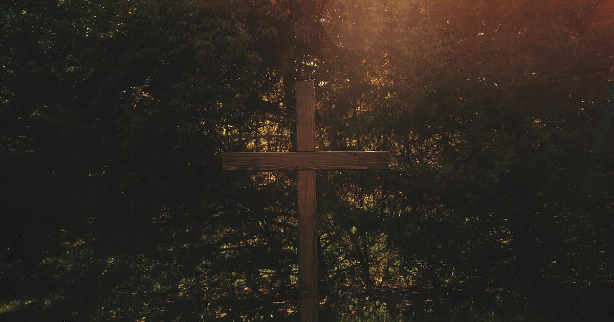 Nature Cross 9 Still | Still Background