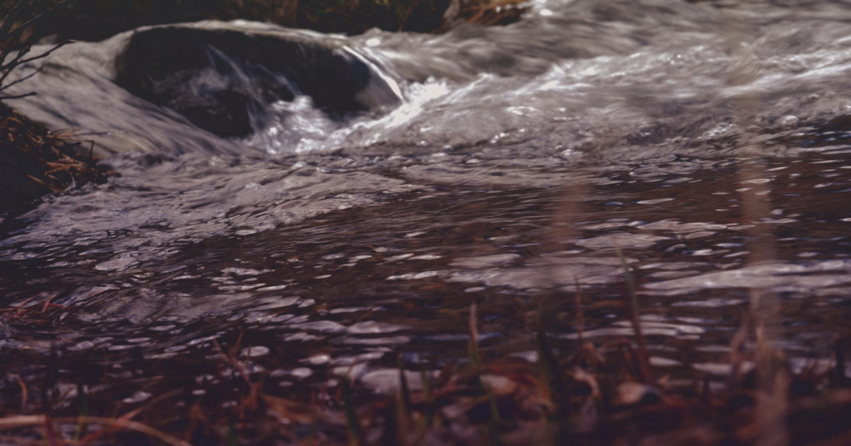 Nature Walk Brook Still | Still Background
