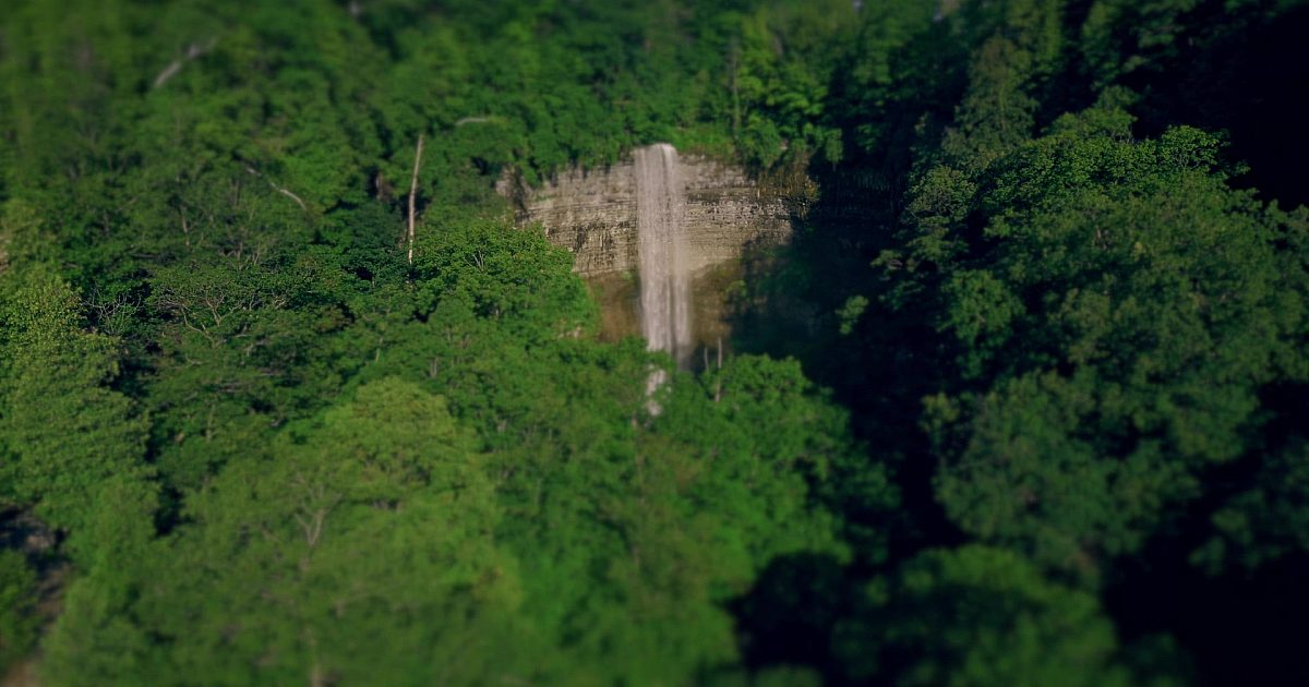 Natures Force 10 Still | Still Background