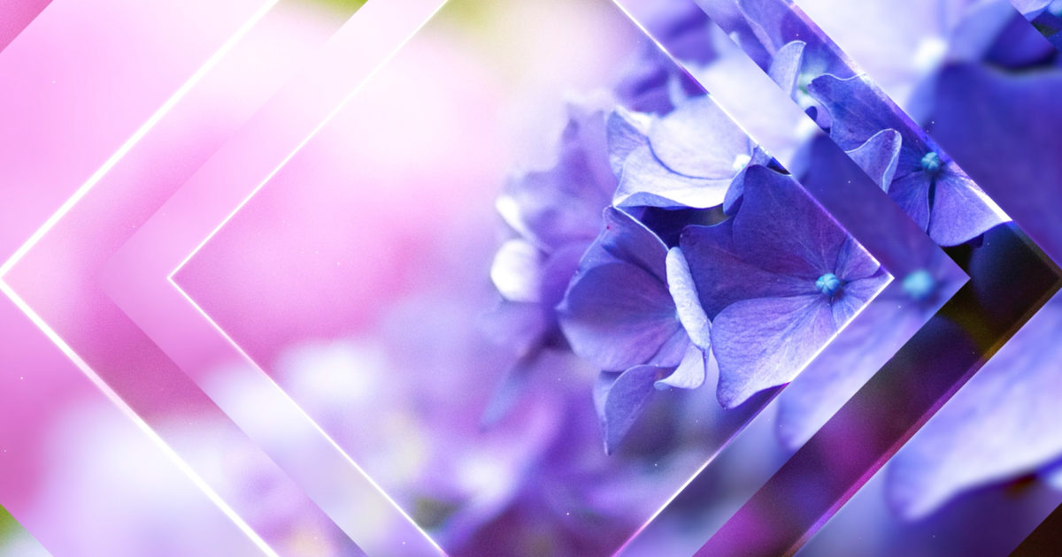 Newspring 1 | Still Background