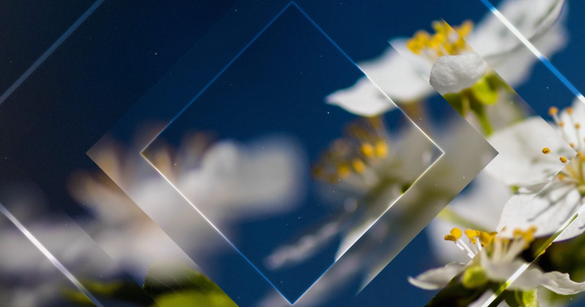 Newspring 4 | Still Background