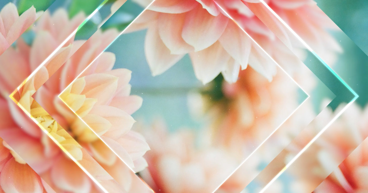 Newspring 5 | Still Background