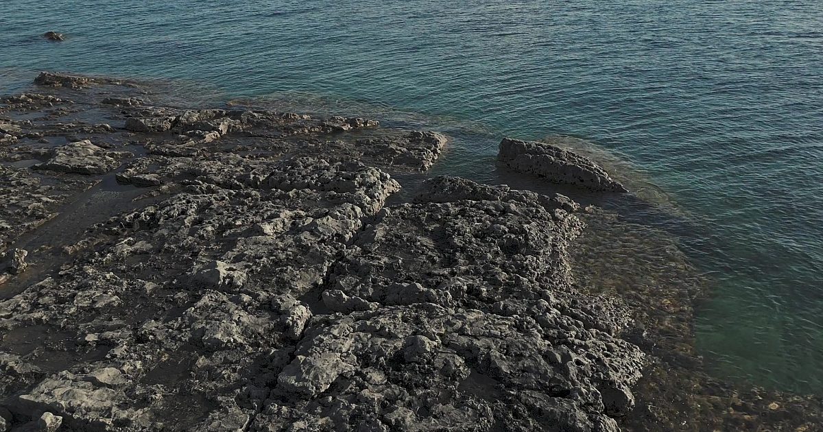Northern Shores 12 Still | Still Background
