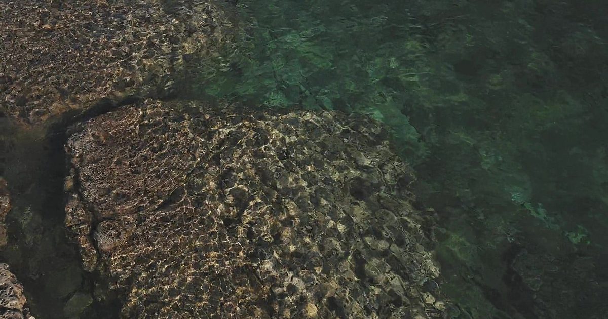 Northern Shores 3 Still | Still Background