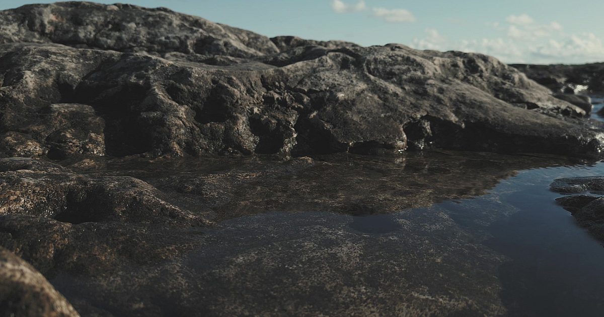 Northern Shores 6 Still | Still Background