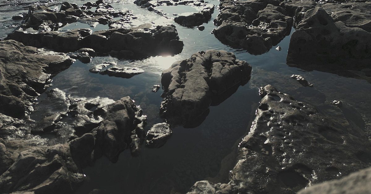 Northern Shores 8 Still | Still Background