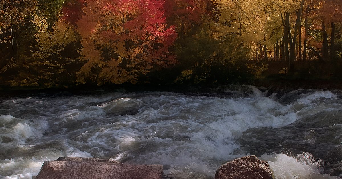 Northwest Fall 11 Still | Still Background