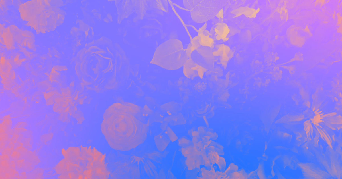 Radiant Gradient Flowers 02 Background