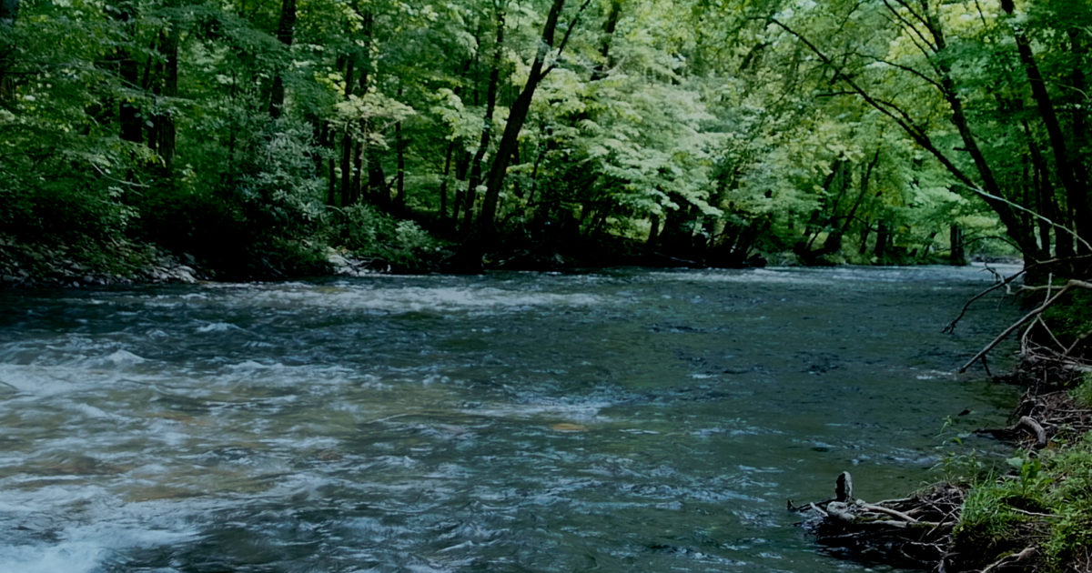 River Wild 12 Still | Still Background