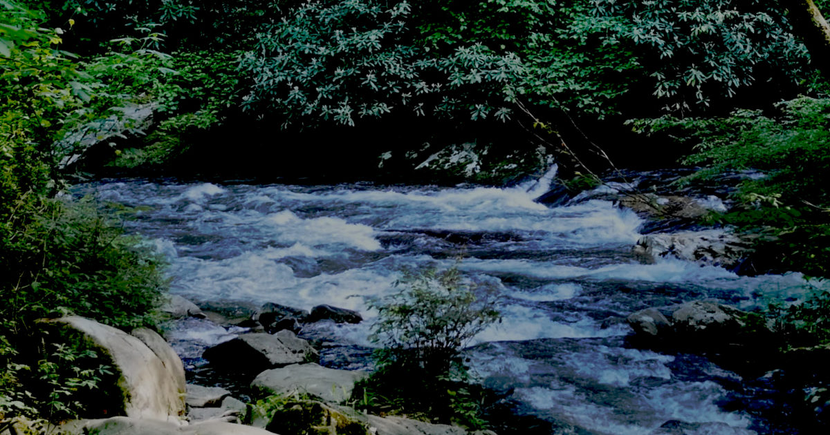 River Wild 18 Still | Still Background