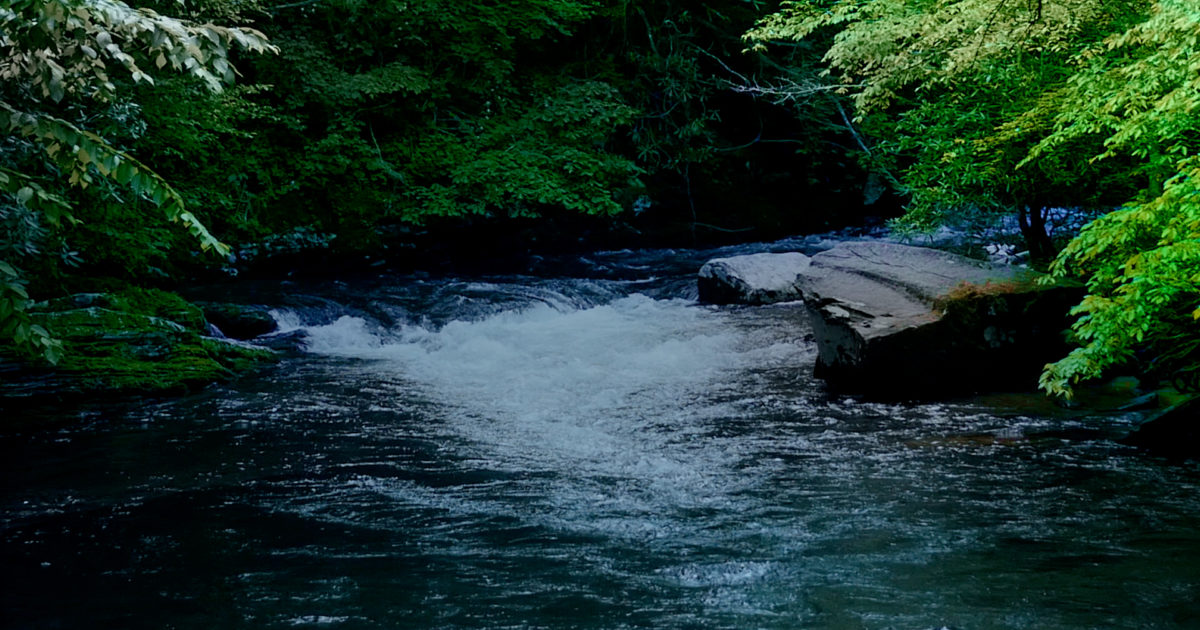 River Wild 2 Still | Still Background