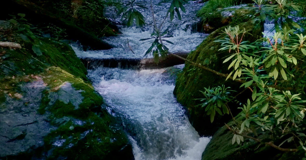River Wild 5 Still | Still Background