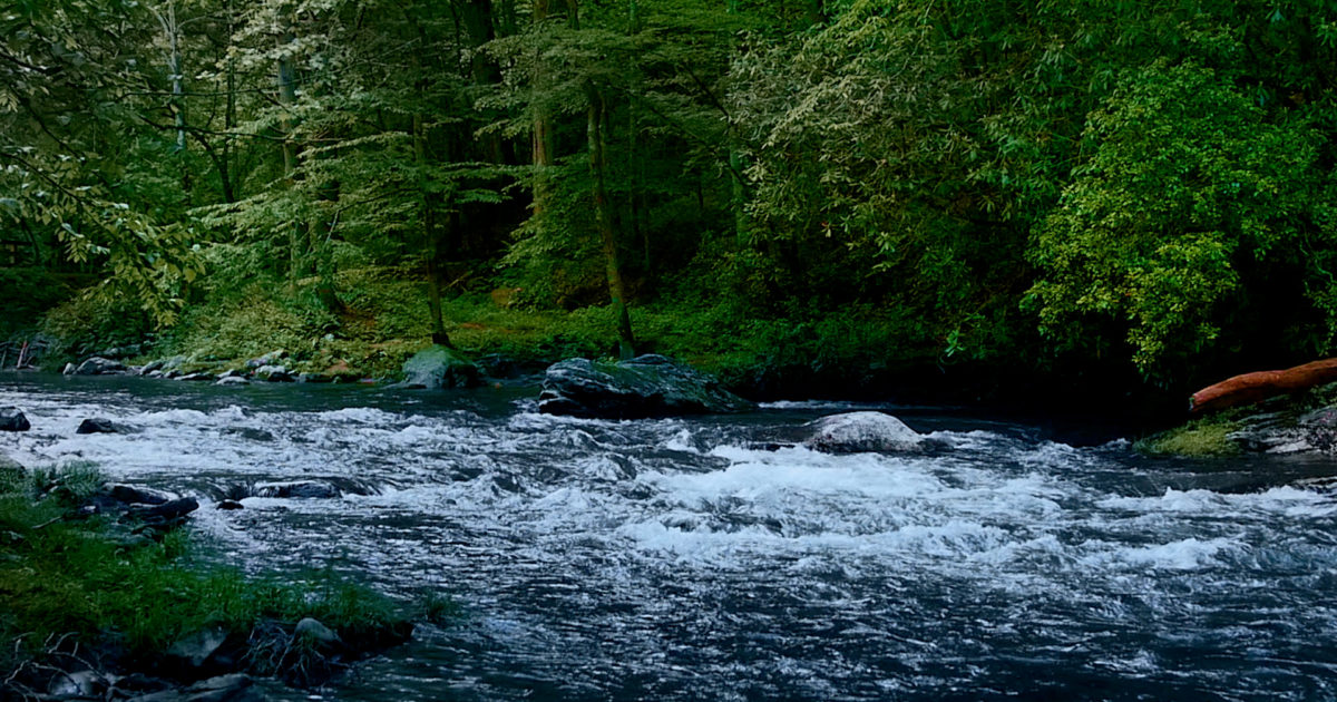 River Wild 8 Still | Still Background
