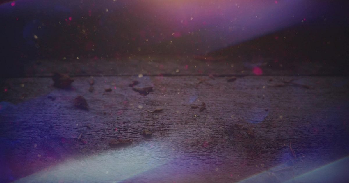 Rustic Nativity 14 Still | Still Background