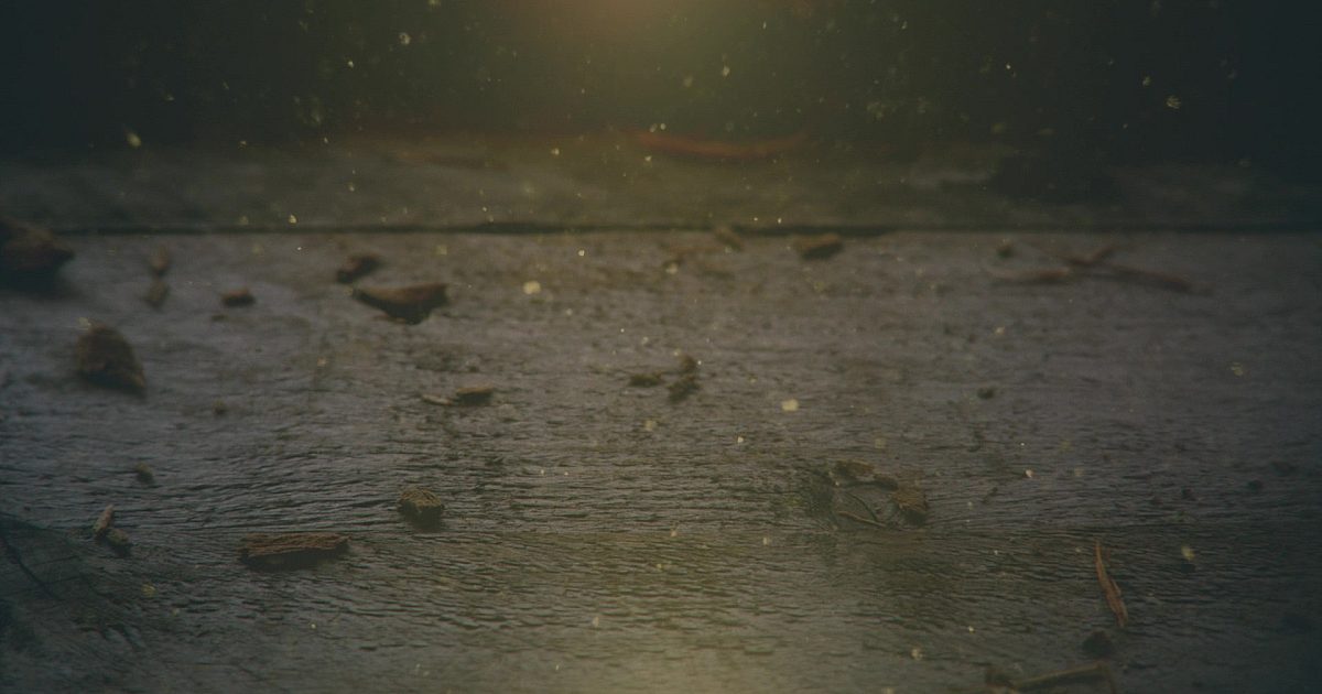 Rustic Nativity 15 Still | Still Background