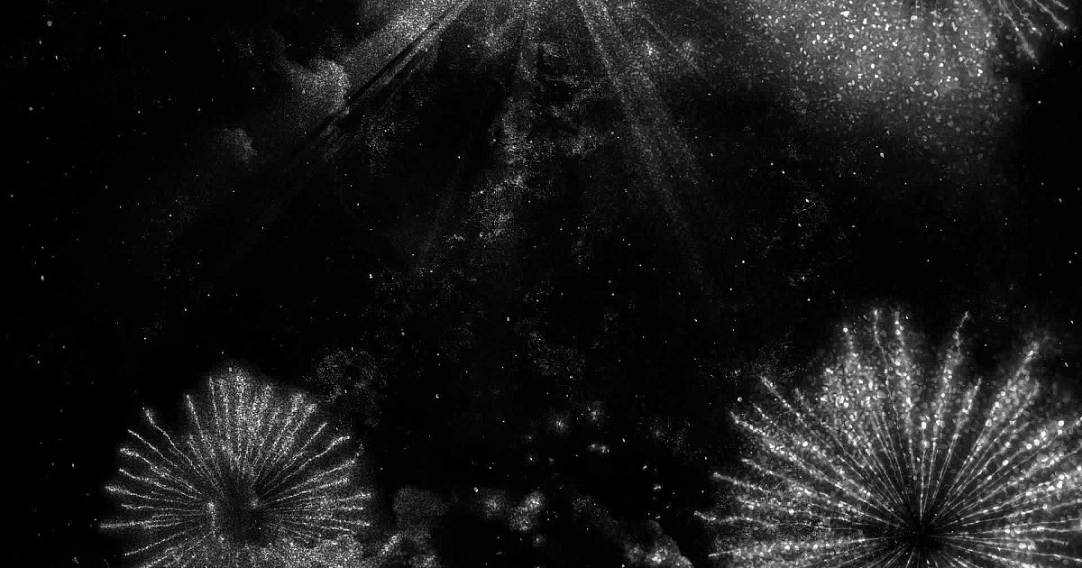 Sparkle 11 Still | Still Background