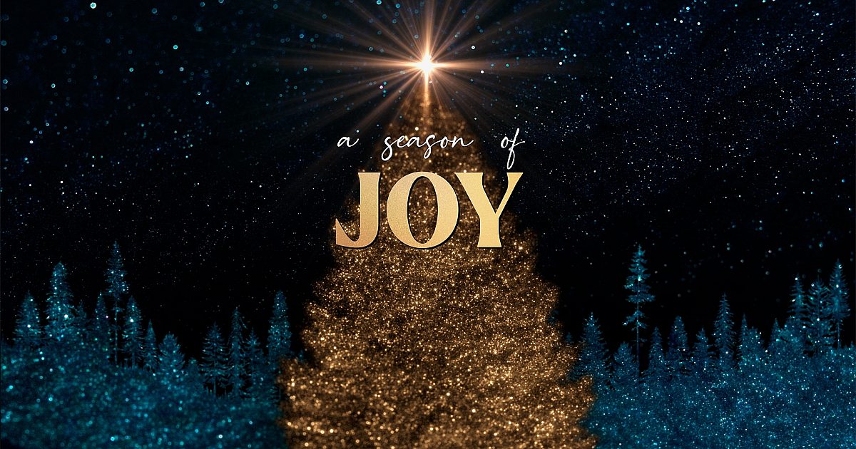 Sparkling Christmas Joy Still | Still Background