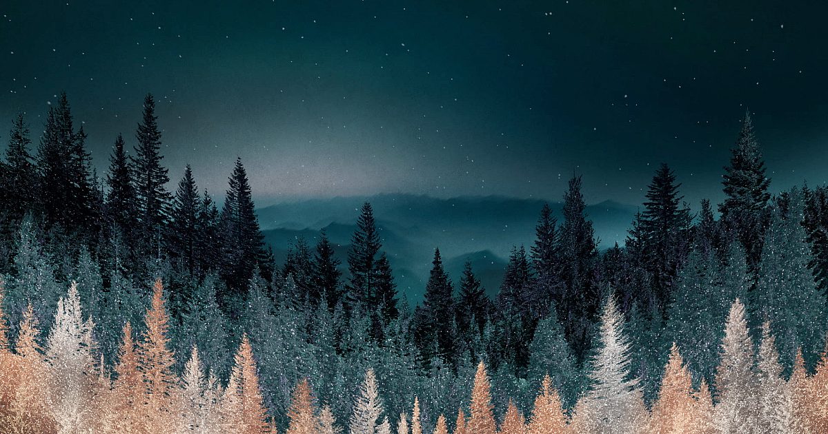 Sparkling Trees 5 Still | Still Background