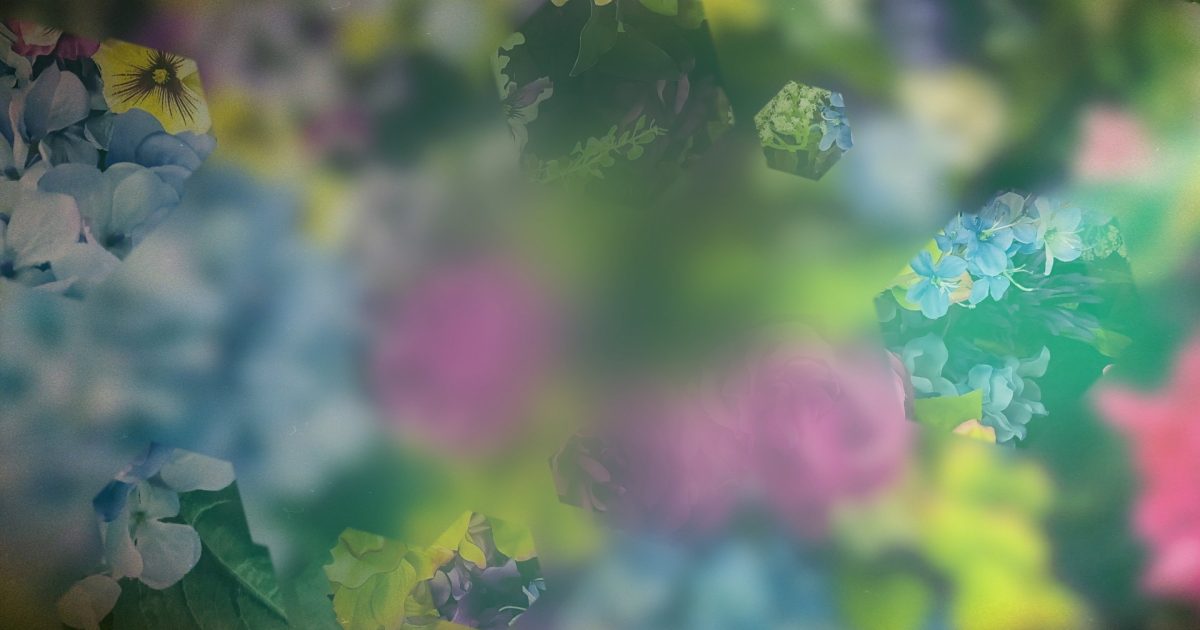 Spring Journey 14 Still | Still Background