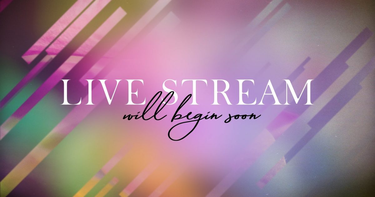 Spring Journey Live Stream Still | Still Background