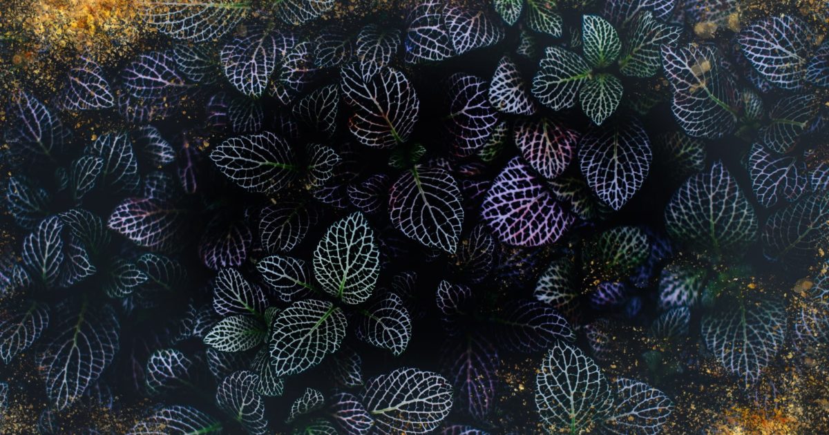 Spring Gold Leafy Still | Still Background