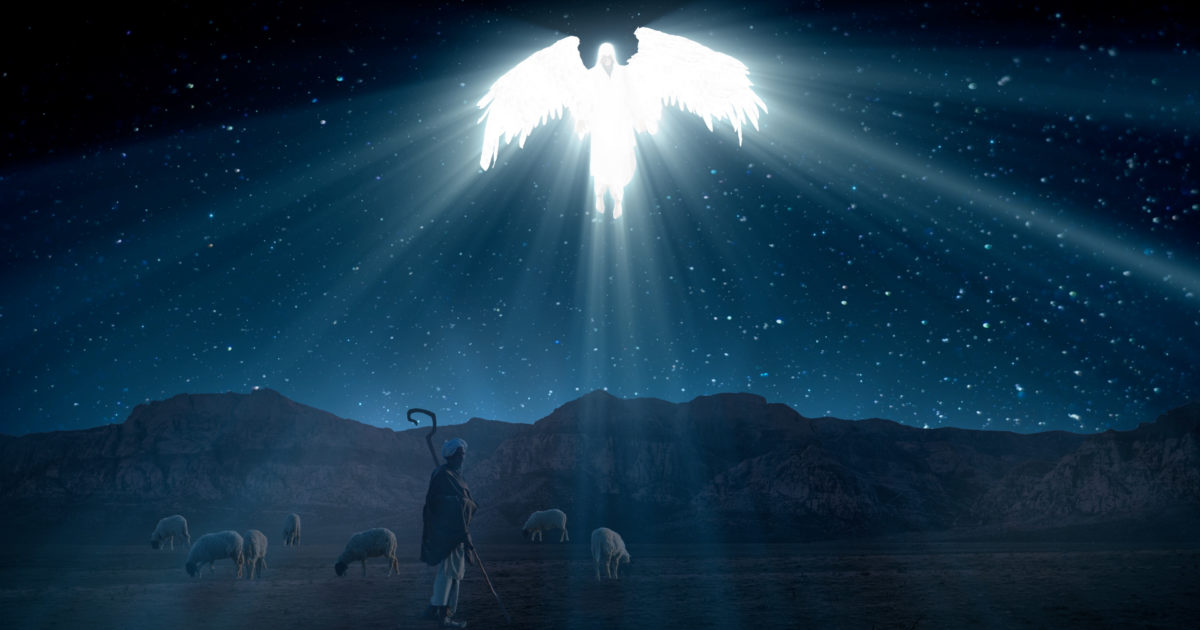Starry Night Nativity 6 Still | Still Background