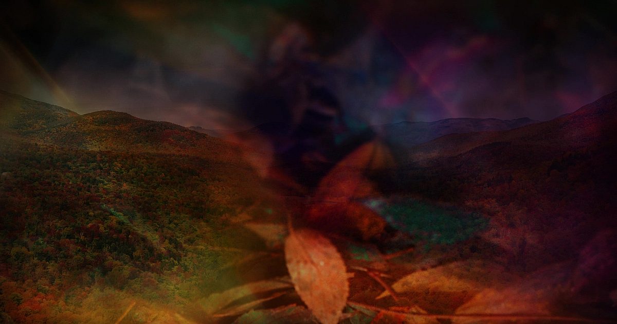 Subtle Fall 05 Still | Still Background