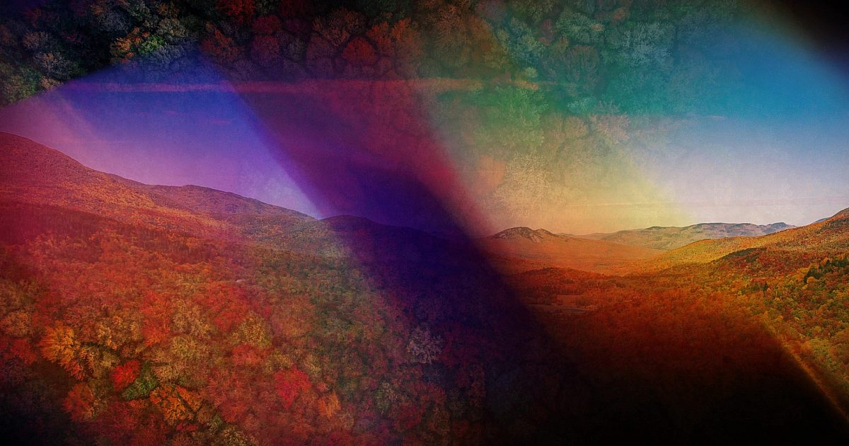 Subtle Fall 07 Still | Still Background