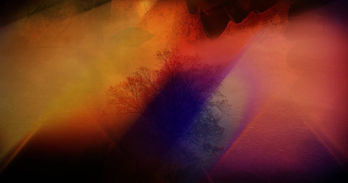 Subtle Fall 08 Still | Still Background