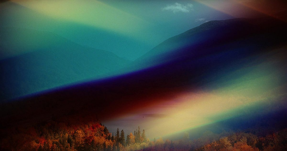 Subtle Fall 12 Still | Still Background