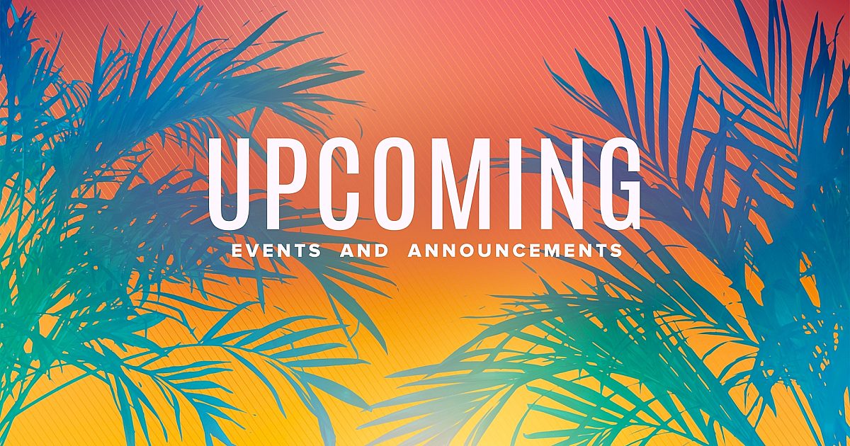 Sun Palms Upcoming Still | Still Background