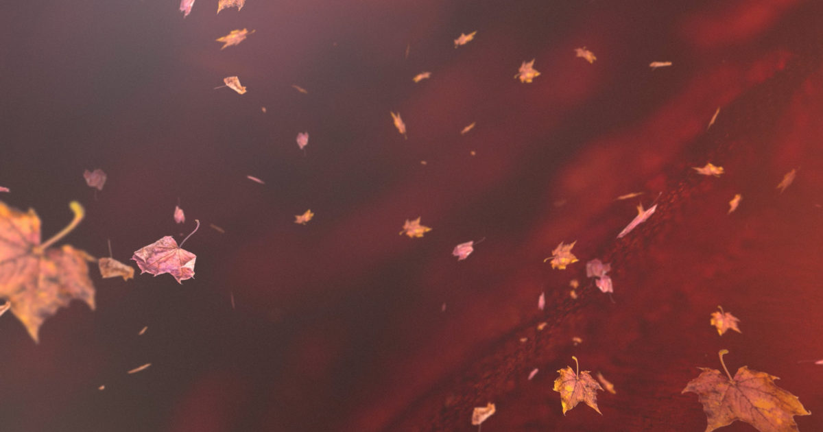 Thankful Fall 1 Still | Still Background