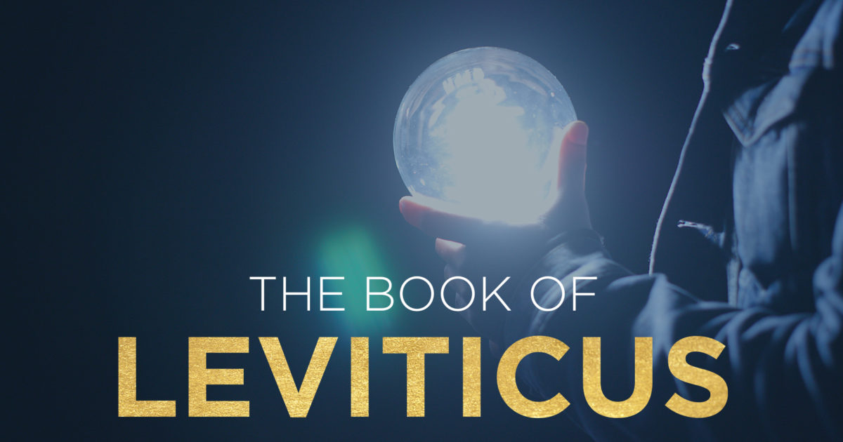 The Book of Leviticus: Lightbulb 2 Background