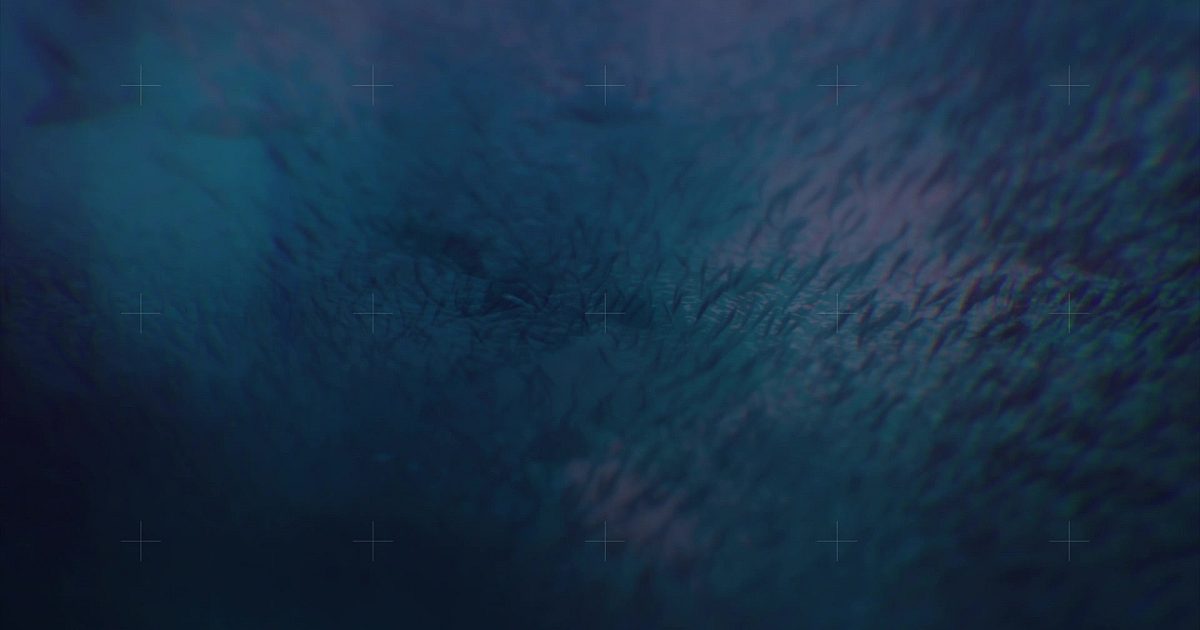 The Depths Frenetic Still | Still Background