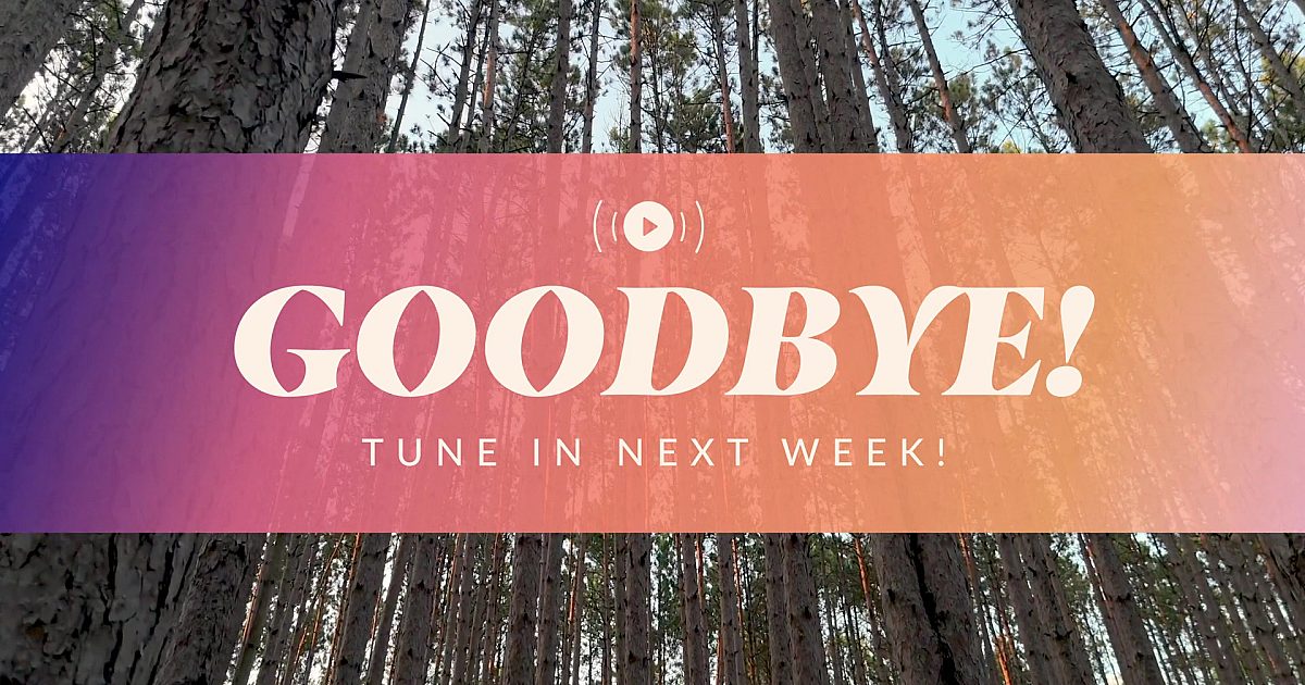 The Forest Exit Stream Still | Still Background