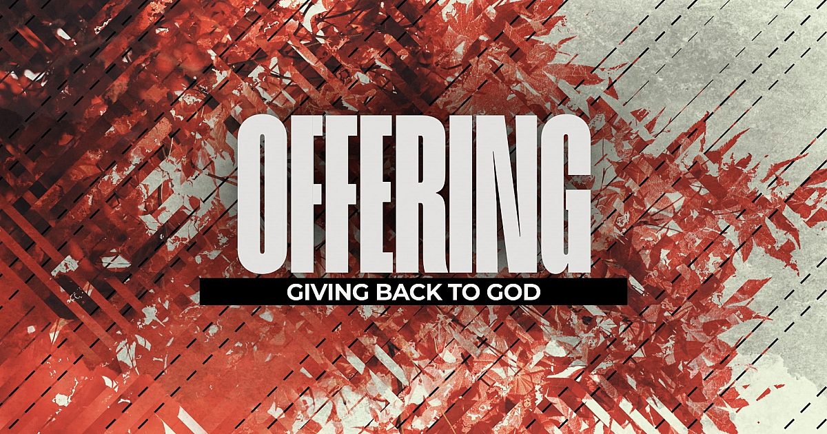 This Autumn Offering Graphic | Still Background