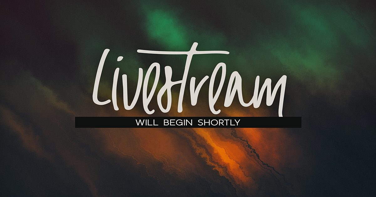 Vibrant Fall Livestream | Motion Video Background