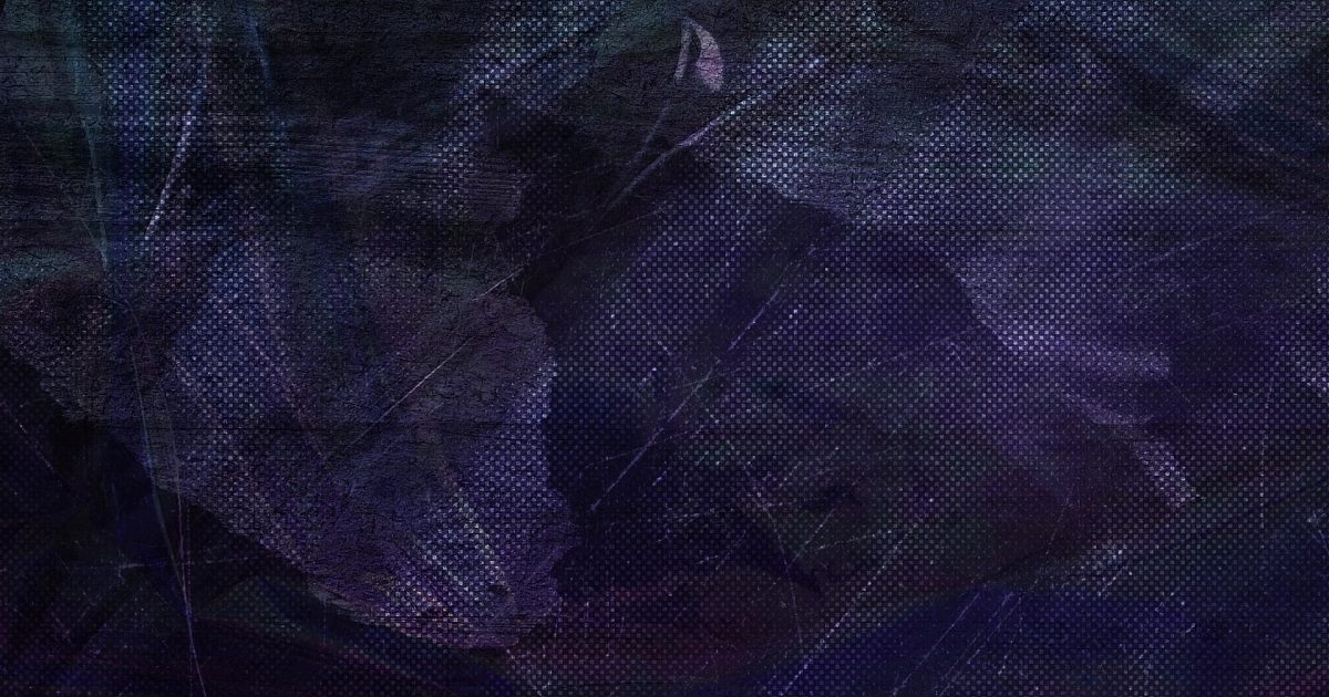 Vibrant Lent Three Blank Still | Still Background