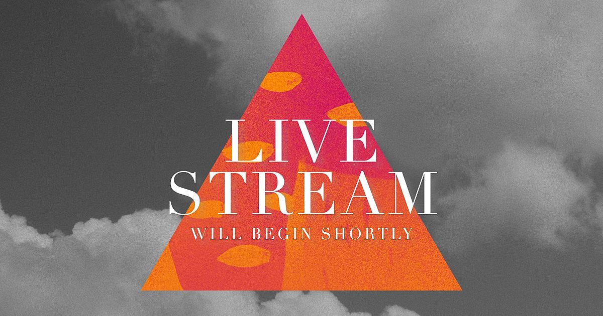 Vibrant Nature Live Stream | Still Background